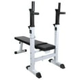 vidaXL Workout Bench with Weight Rack, Barbell and Dumbbell Set 264.6 ...