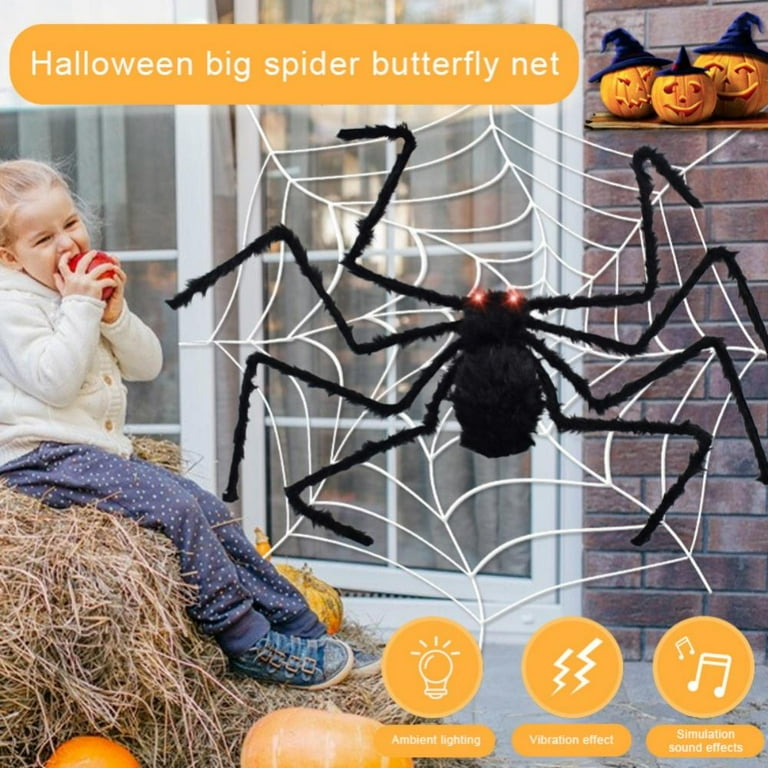 Giant Spider Web Display