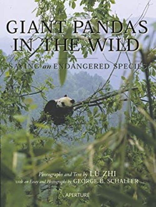 Pre-Owned Giant Pandas in the Wild: Saving an Endangered Species ...