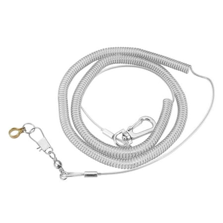 Bird Leash Foot Chain Budgerigar Cockatiel Pet Parakeet Parrot Bird ...