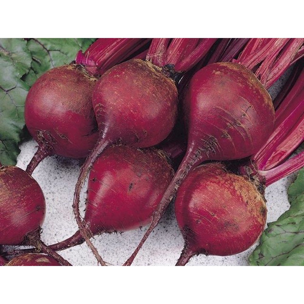Beet Ruby Queen Great Heirloom Vegetable 1,500 Seeds - Walmart.com ...