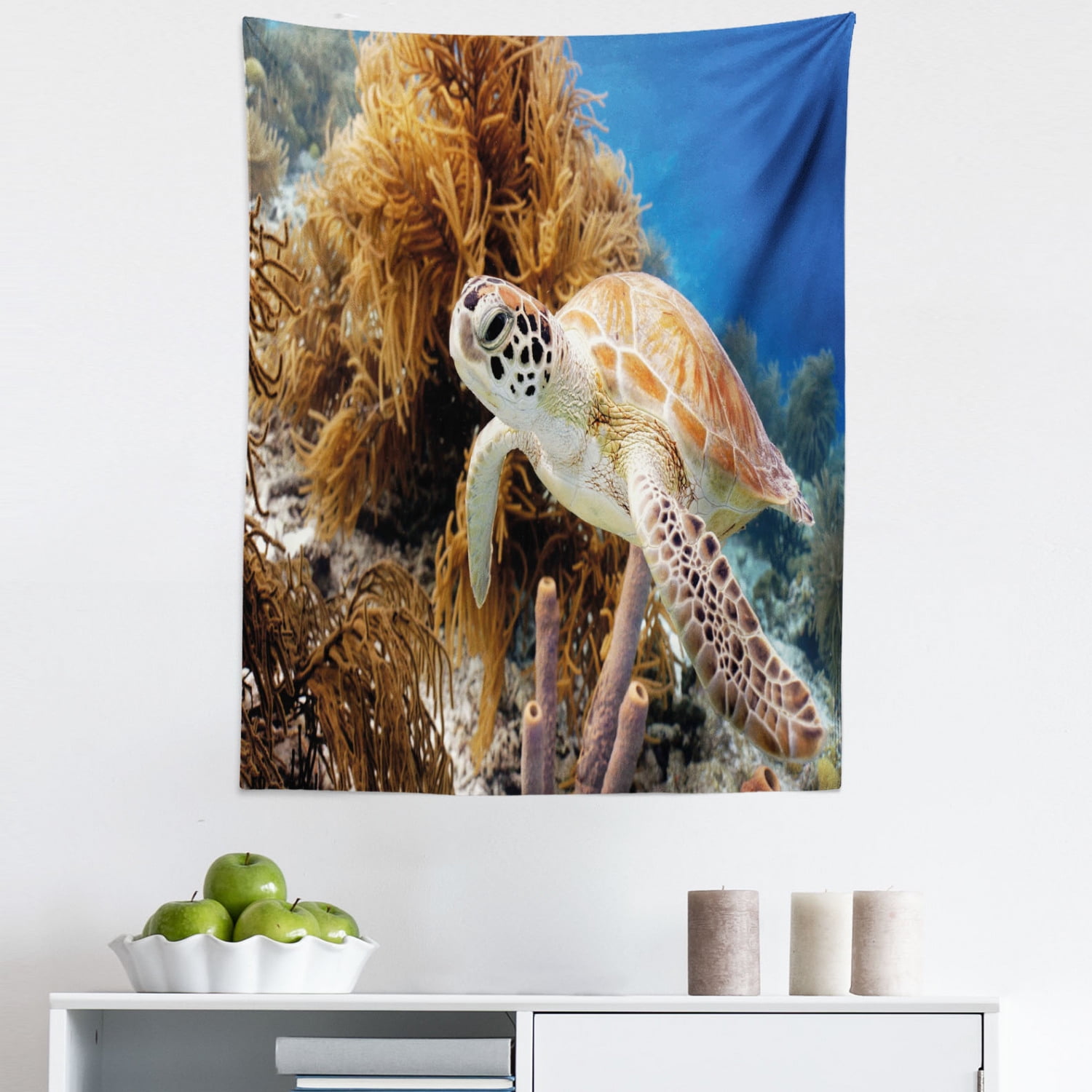 Turtle Tapestry, Coral Reef and Sea Turtle Close up Photo Bonaire ...