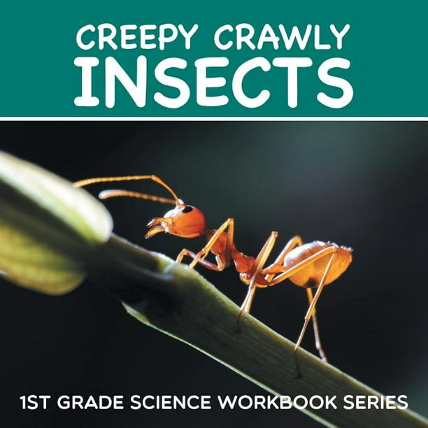 Creepy Crawly Insects: 1st Grade Science Workbook Series (Paperback ...