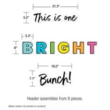 Carson Dellosa This Is One Bright Bunch Bulletin Board Set (39 pieces ...
