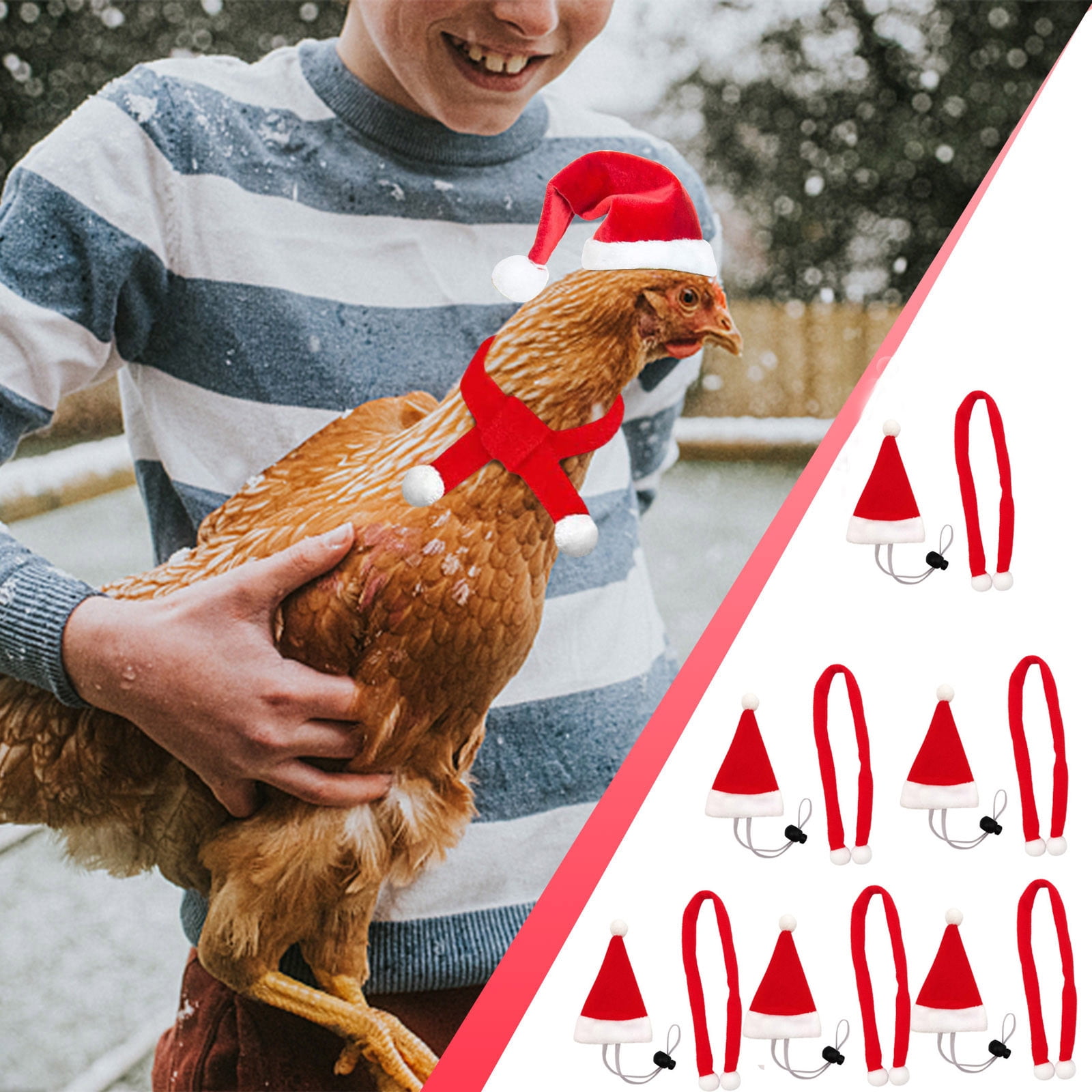 Chicken With Santa Hat