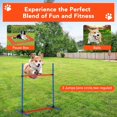 Dog Agile Training Equipment Set Outdoor Indoor,Obstacle Course Kit ...