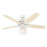 Hunter Fan Company Bennett 52" Indoor LED Light Ceiling Fan, Matte ...