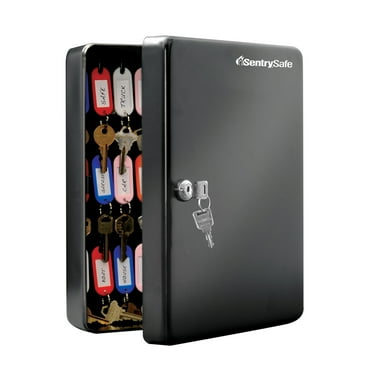 Honeywell 0.13 cu. ft. Steel 48-Key Security Box with Key Lock, 6106 ...