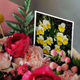 3drose, Beautiful Yellow Pansies Is a Photo of Beautiful Yellow Pansy ...