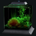 KollerCraft 1.5-Gallon Betta Fish Aquarium Kit - Walmart.com