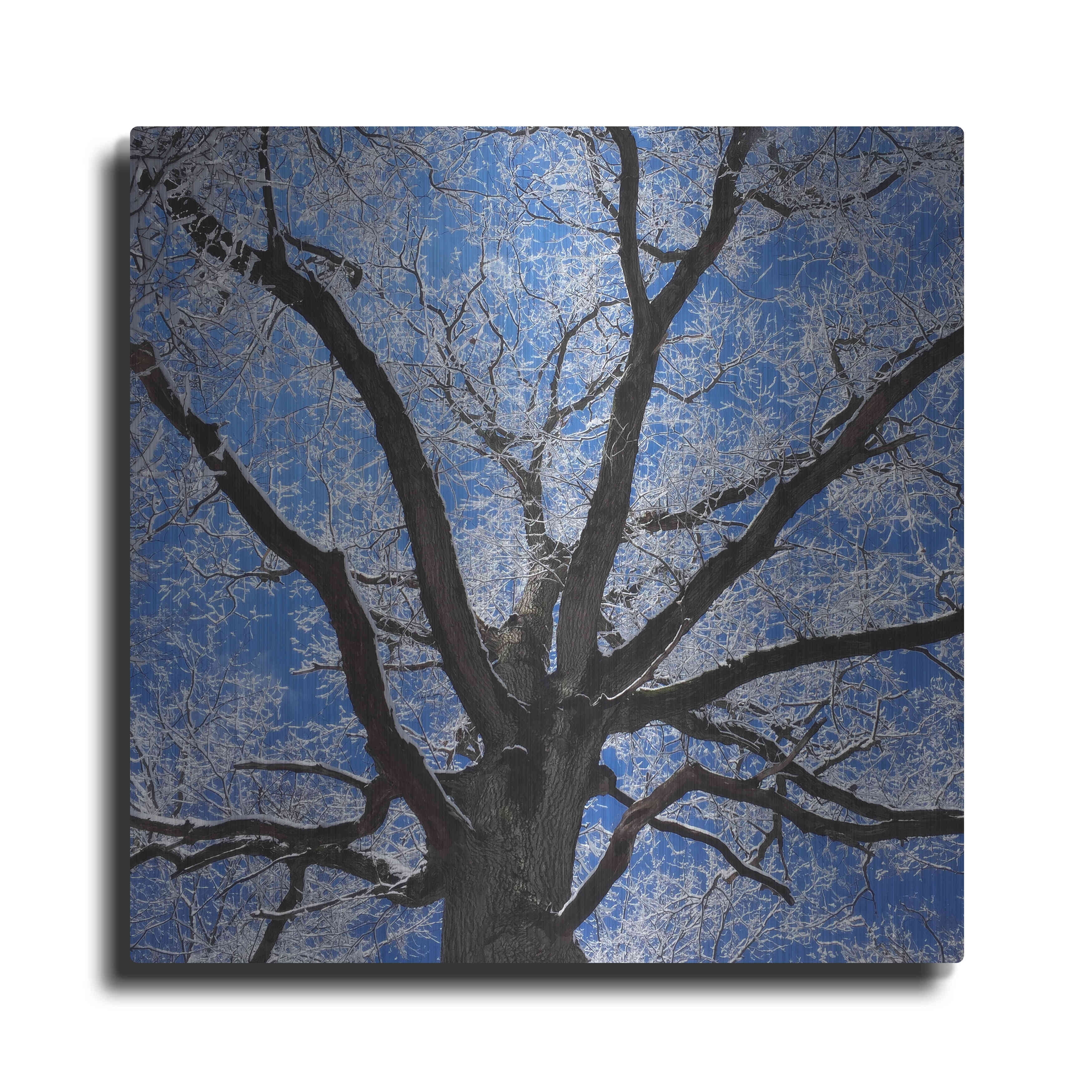 Luxe Metal Art 'Snow Covered Tree' by Jan Bell Metal Wall Art, 12"x12 ...