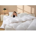 All Season Medium Weight Fluffy White Duvet Insert, Warm Feather ...