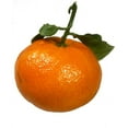 Fresh Tangerine, Each - Walmart.com