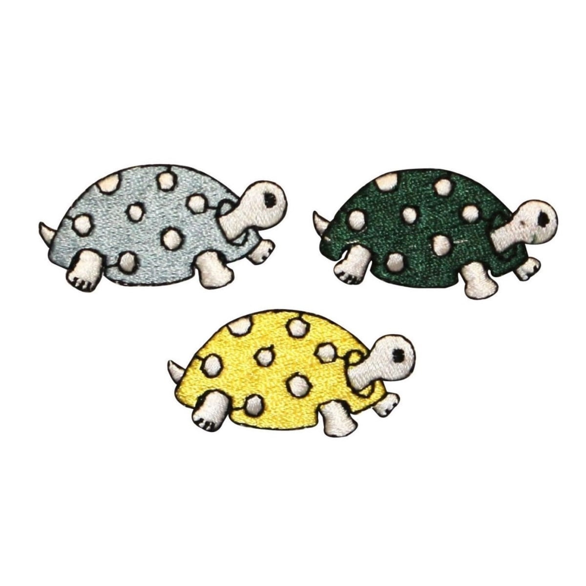 Spotted Turtle Drawing