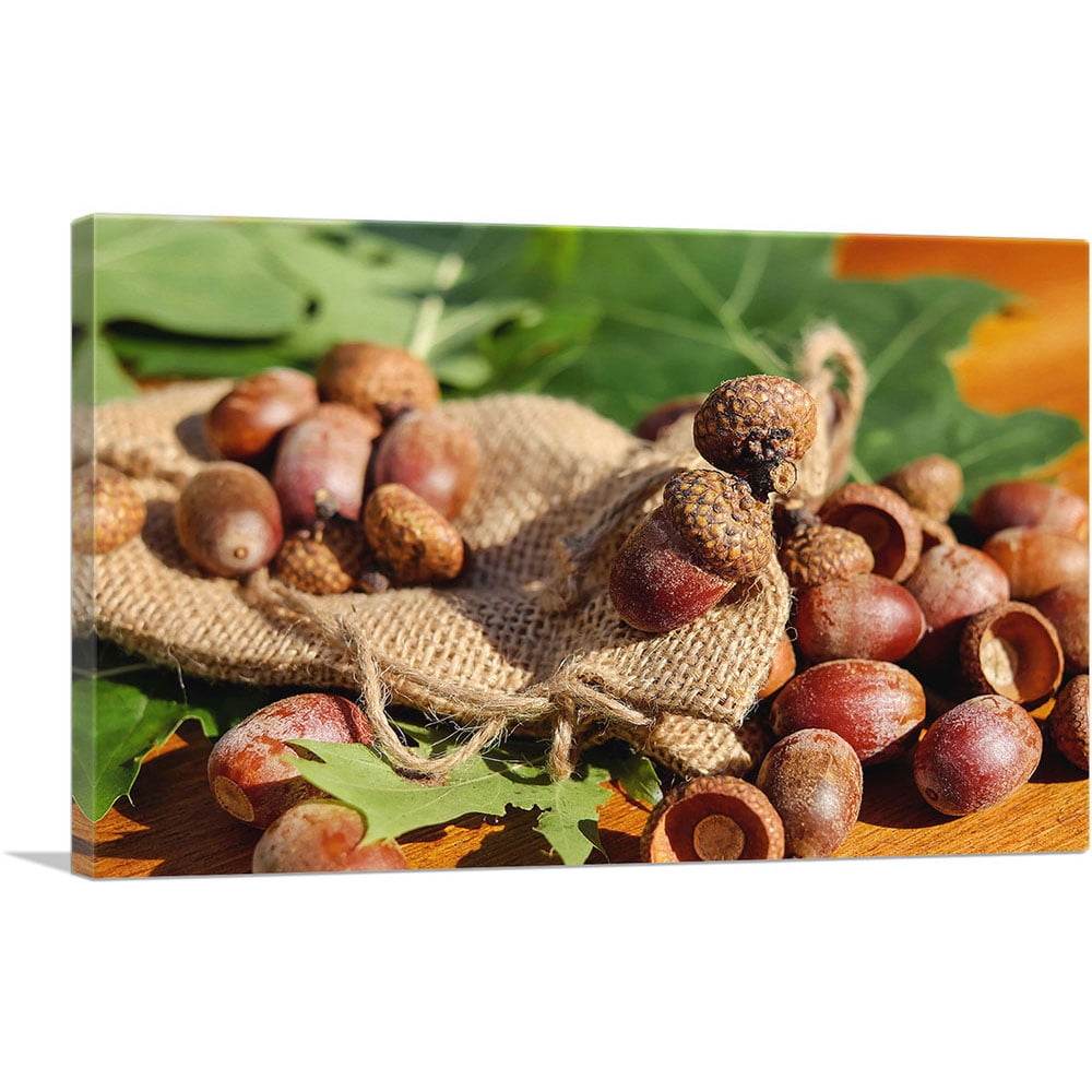 ARTCANVAS Oak Nuts on Oak Leaves Canvas Art Print - Size: 40" x 26" (0. ...
