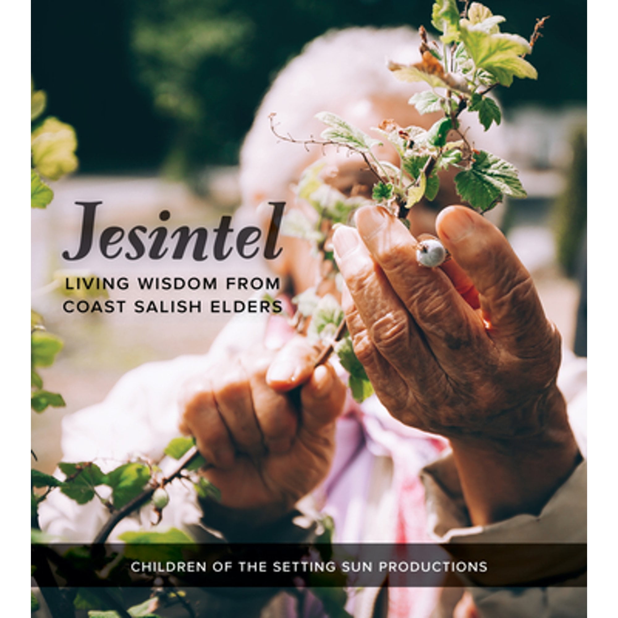 Pre-Owned Jesintel: Living Wisdom from Coast Salish Elders (Paperback ...