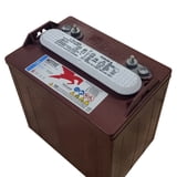 Trojan T-890 Deep Cycle 8V Battery X2 - Walmart.com