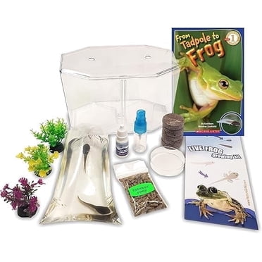 Cute Farms Terrarium Starter Kit for Adults and Kids (Large Kit ...