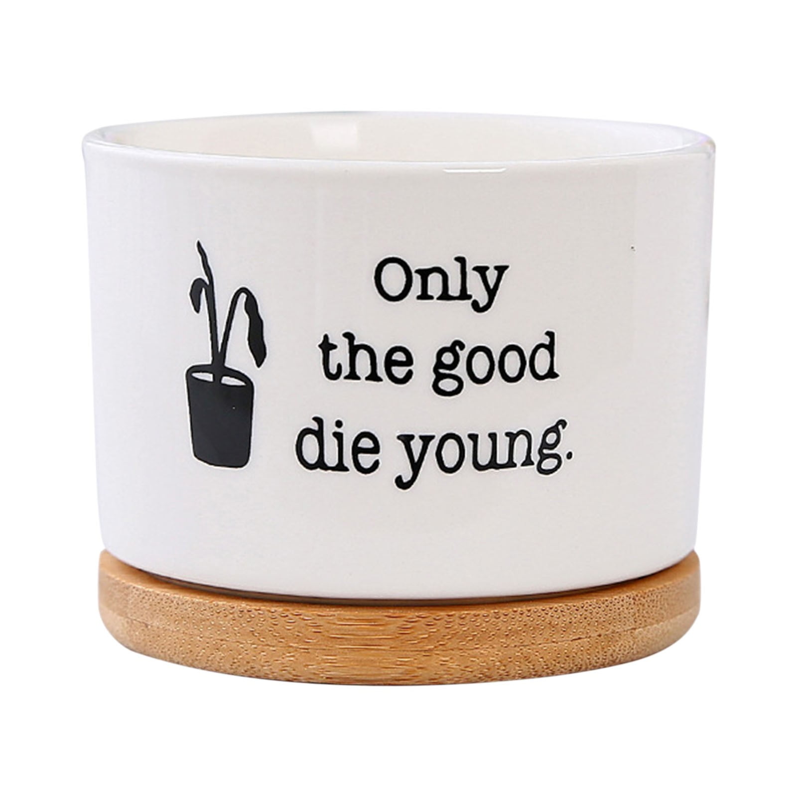 Click here for Decor Deals Iumwxz Funny Unique Succulent Pots Cer... prices