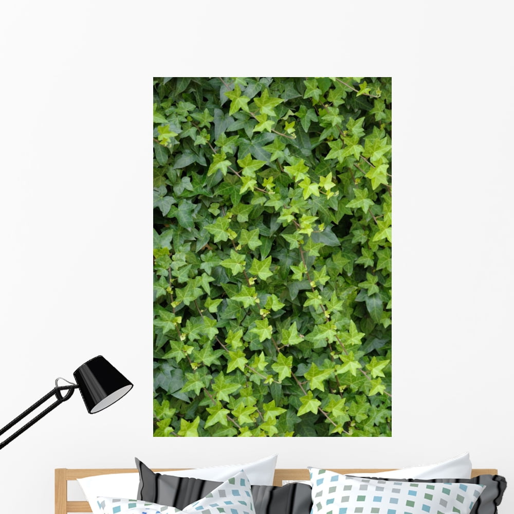 Ivy Foliage Park Wall Mural Decal Sticker, Wallmonkeys Peel & Stick ...