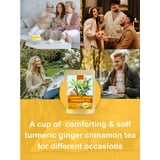 TeeLux Turmeric Ginger Cinnamon Tea 100 Count Spicy and Sweet Flavor ...