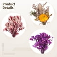 Boho Dried Flower Bouquet, 10 Bundles Natural Dry Flowers, Small Dried ...