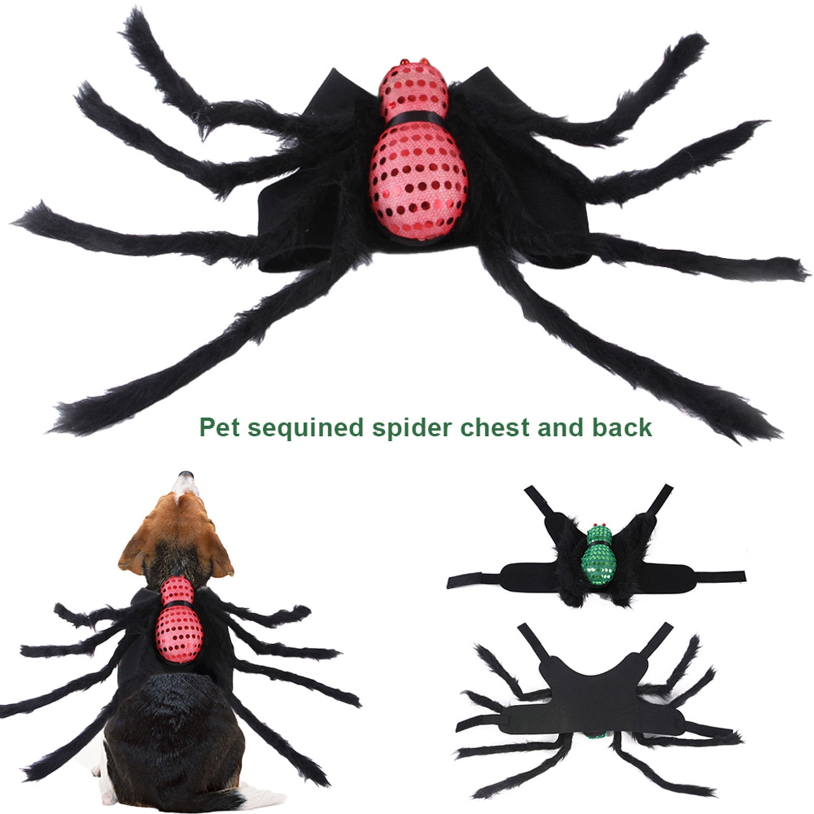 Sequined Spider