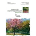 Gracefully Yours Blessed Mourning Sympathy Greeting Cards featuring ...