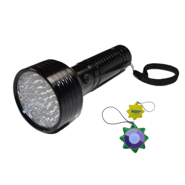 Scorpion Black Light