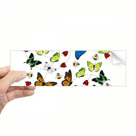Different Sizes of Flying Rectangle Bumper Sticker Notebook Window ...