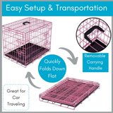 Internet's Best Double Door Steel Dog Kennel - Small 24" - Pink ...