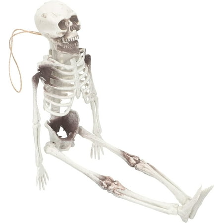 Surrme 40cm Halloween Full Body Skeleton Props Realistic Human Bones ...
