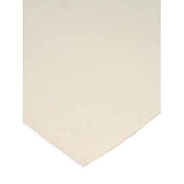Pastel Premier Sanded Pastel Paper, 12 x 16 Inches, Medium Grit ...