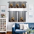 Bear Kitchen Curtains Set for Windows, Fog Misty Woods Animal Curtains ...