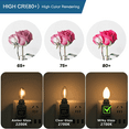 C7 LED Bulb, E12 Candelabra, Warm White, 0.5W Equivalent 5W, for Wall ...
