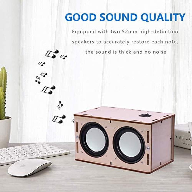 Wooden Speaker Box