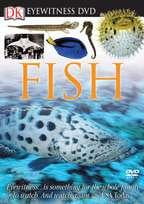 Eyewitness DVD: Fish - Walmart.com