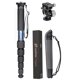 Leofoto MP Series Carbon Fiber Monopod + VH-10S Two Way Tilt Head Set with Case - Walmart.com