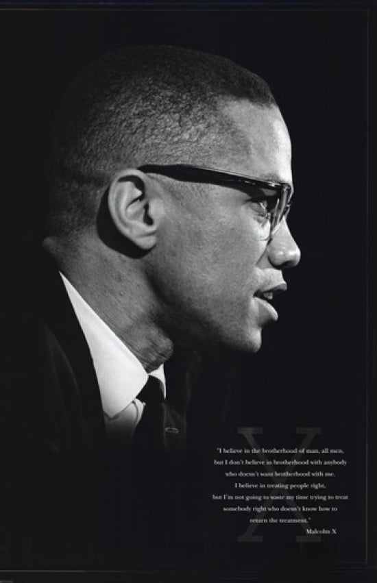 Malcolm X Poster