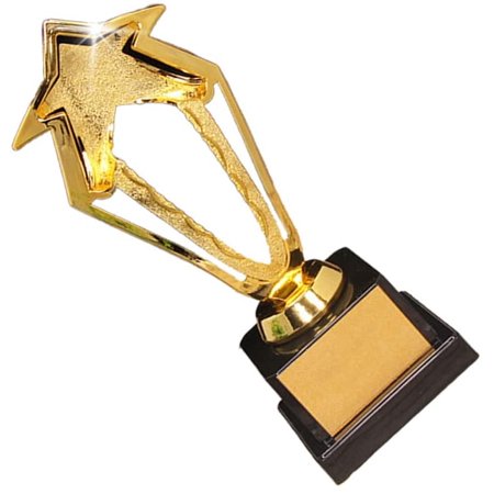 Gold Star Trophy Award Winning Prize Rewards Party Favors Props for ...