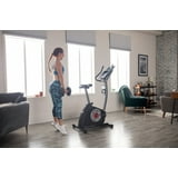 ProForm Cycle Trainer 300 Ci Upright Stationary Exercise Bike ...