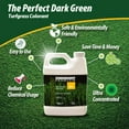 Endurant Premium Medium, 32oz, green grass lawn colorant - Walmart.com