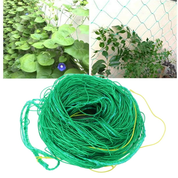 Garden Plant Netting, Climbing Vining Plants Netting Polypropylene ...