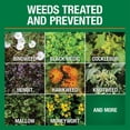 7 lb. 2,500 sq. ft. Spring and Fall Weed and Feed Lawn Fertilizer ...