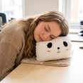 Cozy Plush Hand Warmer Pillow Cartoon Stuffed Animal Nap Pillow Back ...