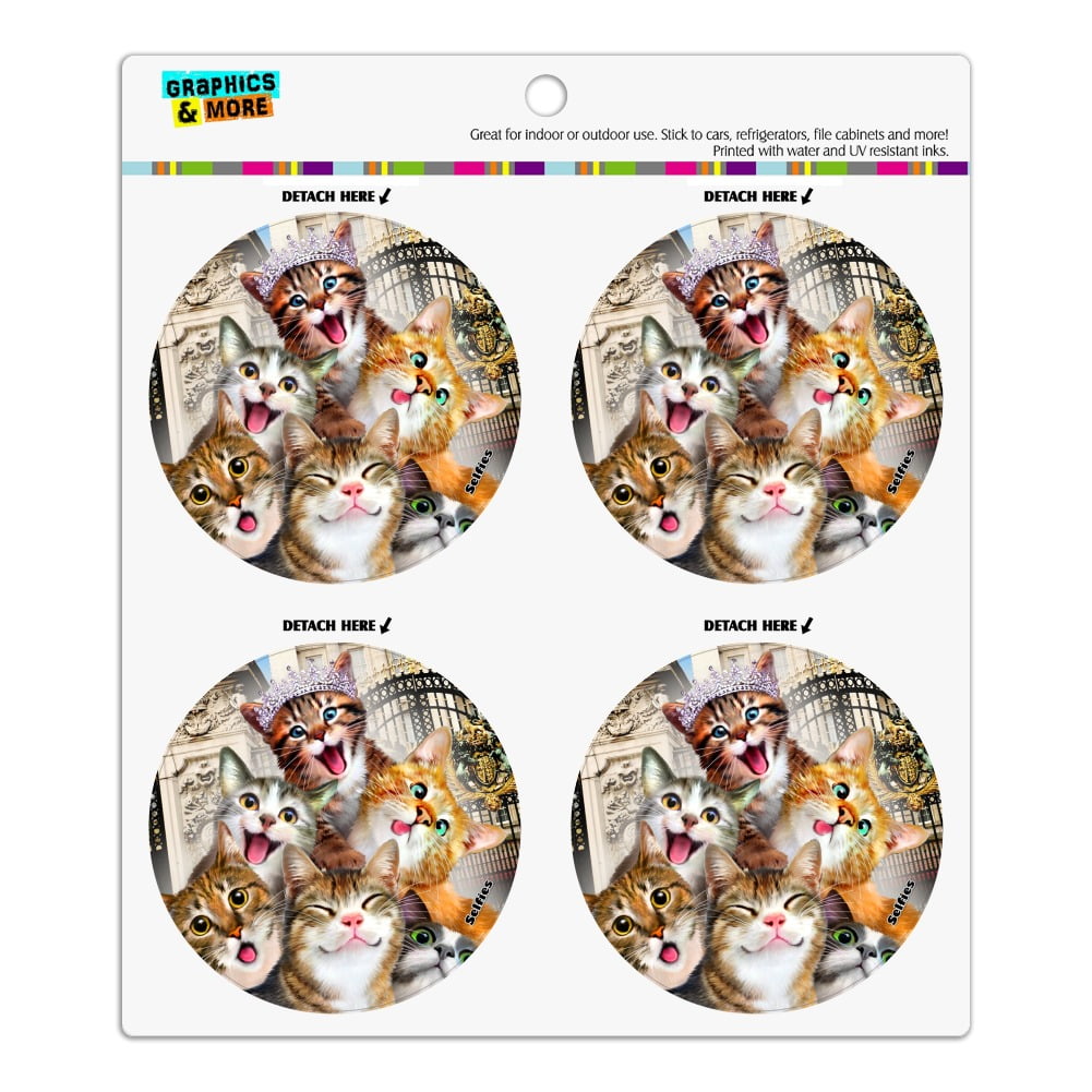 Cats Selfie at London Palace England Britain Refrigerator Fridge Locker ...