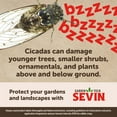 Sevin Insect Killer Concentrate 32 oz C36 - Walmart.com