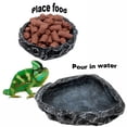 XIBUFE 2026 New Reptile Feeding Dish Corner Bowl,2Pcs Bearded Dragon ...