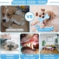 4 Pack Dog Chew Toys Set,TPR Puppy Teething Toys with Chew Bone,Spiky ...