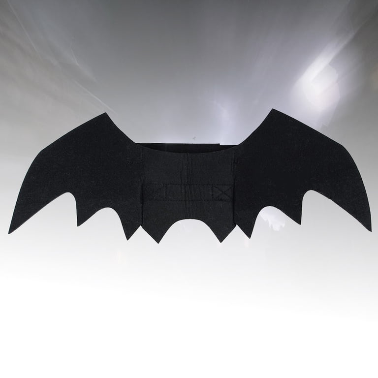 Diy Bat Wings